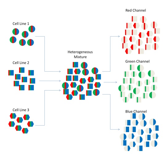 A Bayesian approach to determine the composition of heterogeneous ...